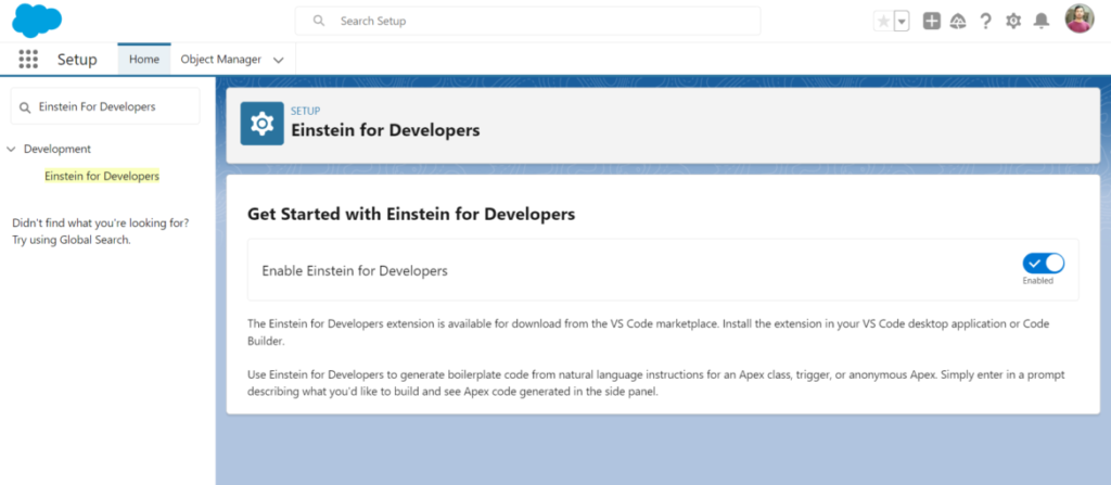 Einstein For Developers: Get Started Now - ABSYZ